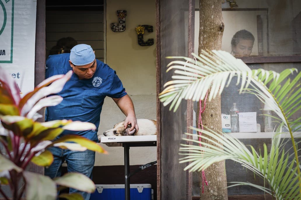 Rural Community Spay/Neuter and Veterinarian Care Program - Global Strays