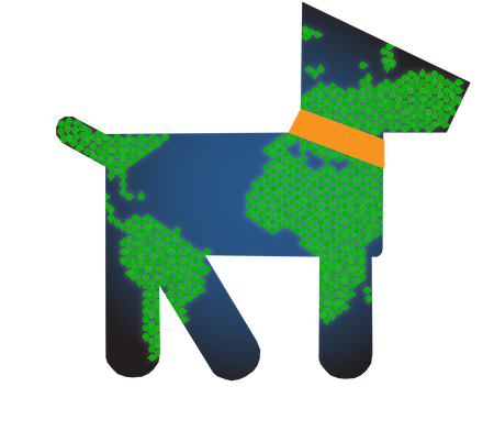 Home - Global Strays